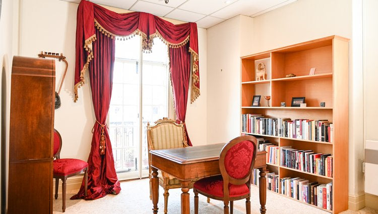 History of the Dominatrix by Anne O Nomis